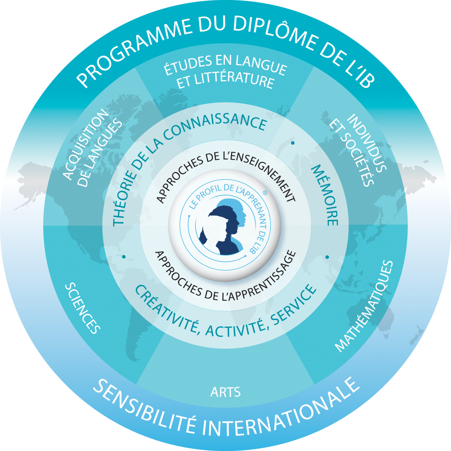 Curriculum - Enko Abidjan